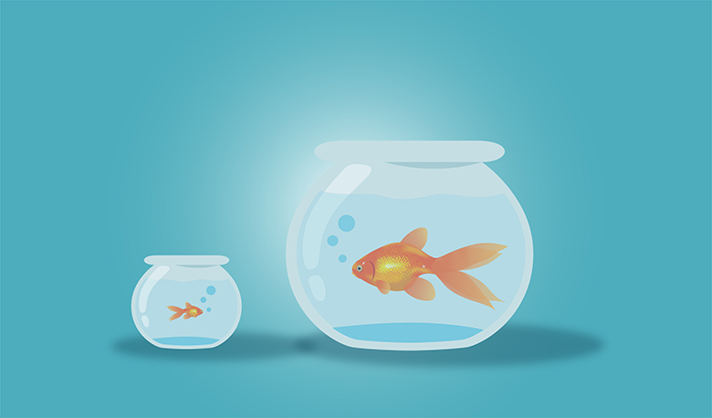 Adaptive web design - What is it and when should it be used? - evolve ...